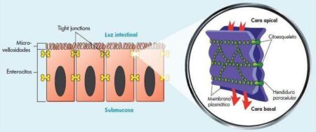 Glosario - Instituto de Microecología